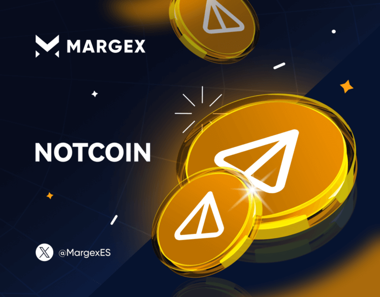 Top 5 Coins on TON Chain - Margex Blog Top 5 Coins on TON Chain